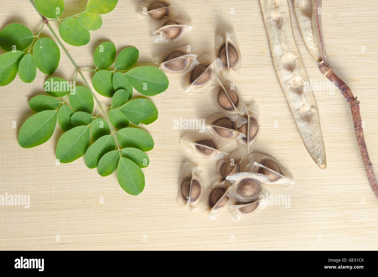Moringa (Other names are Moringa oleifera Lam., MORINGACEAE, Futaba kom ...