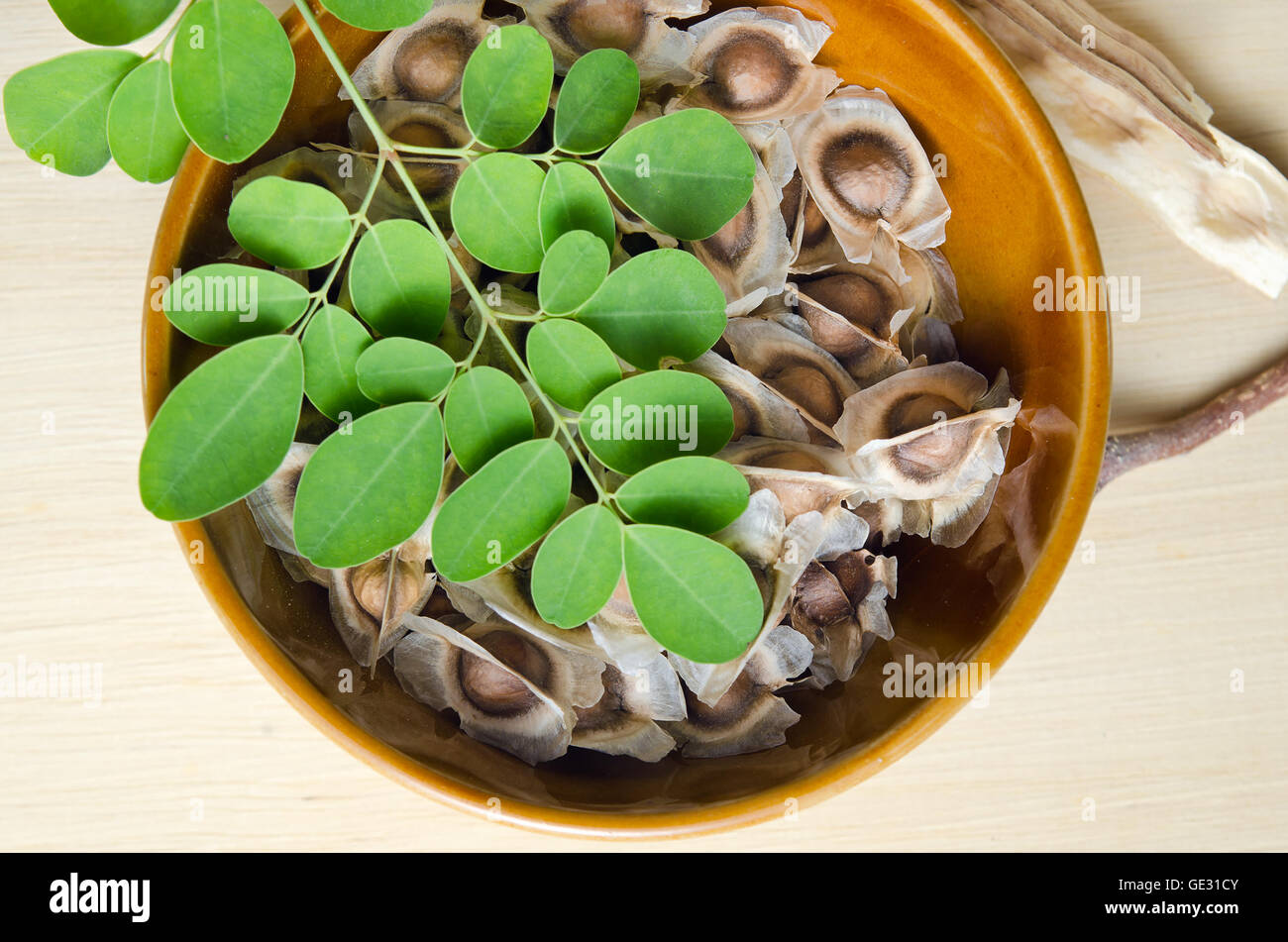 Moringa (Other names are Moringa oleifera Lam., MORINGACEAE, Futaba kom ...