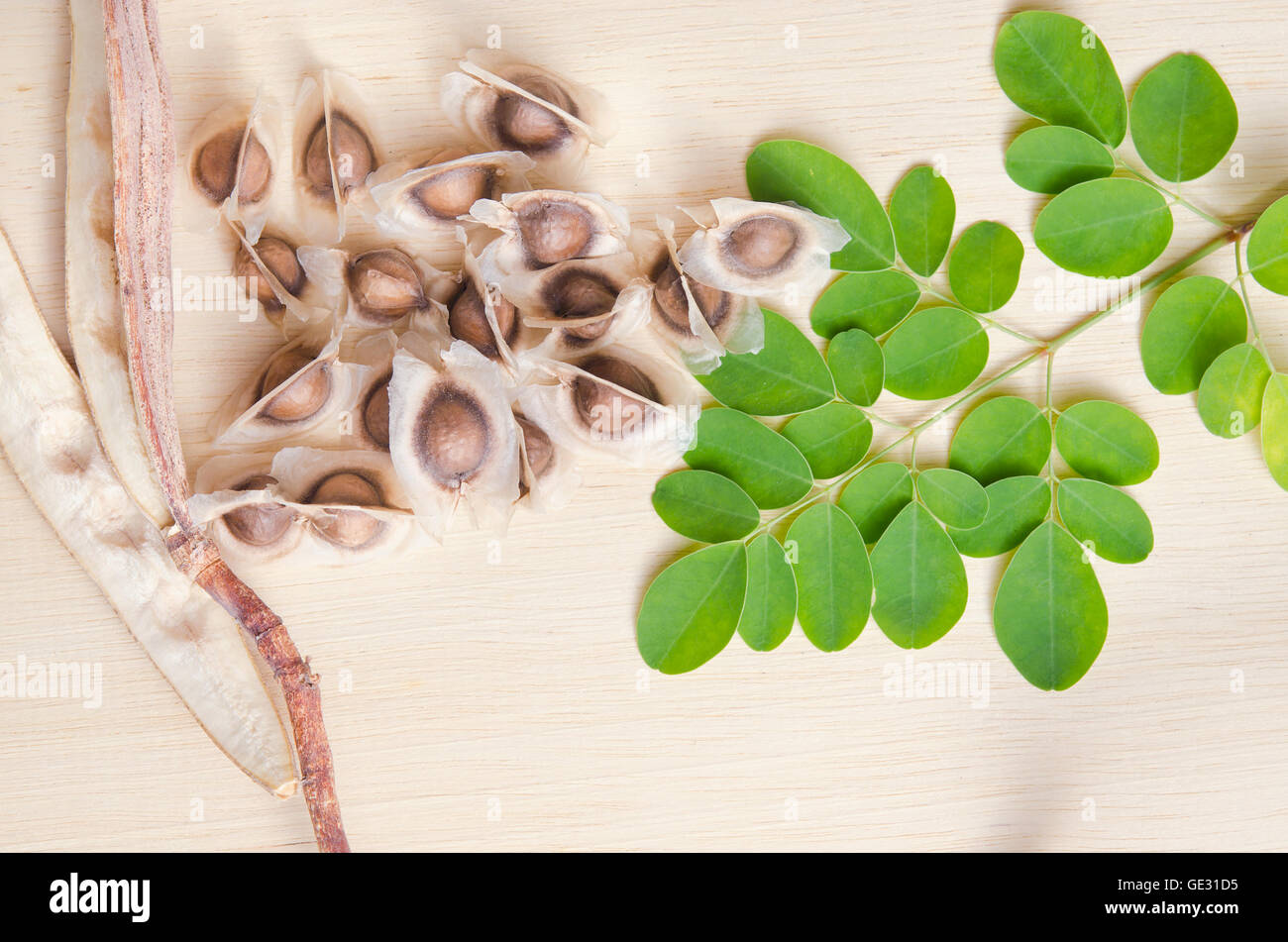 Moringa (Other names are Moringa oleifera Lam., MORINGACEAE, Futaba kom ...