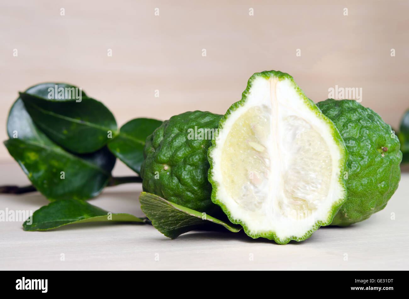 Bergamot Other Names Are Kaffir Lime Citrus Magnoliophyta Bergamot