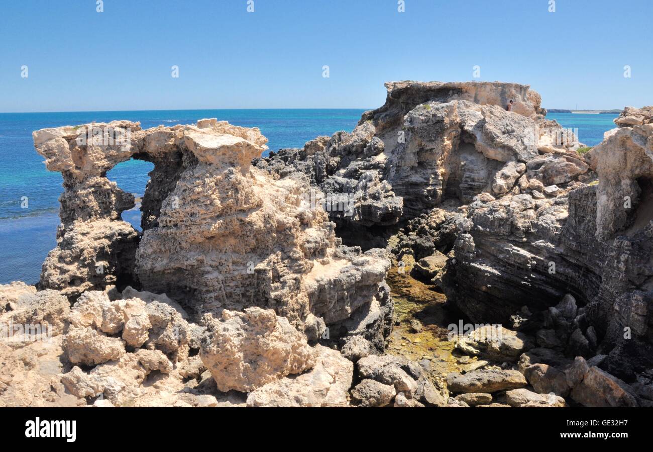 Rugged limestone coastline with unique formations and rock pools in the ...