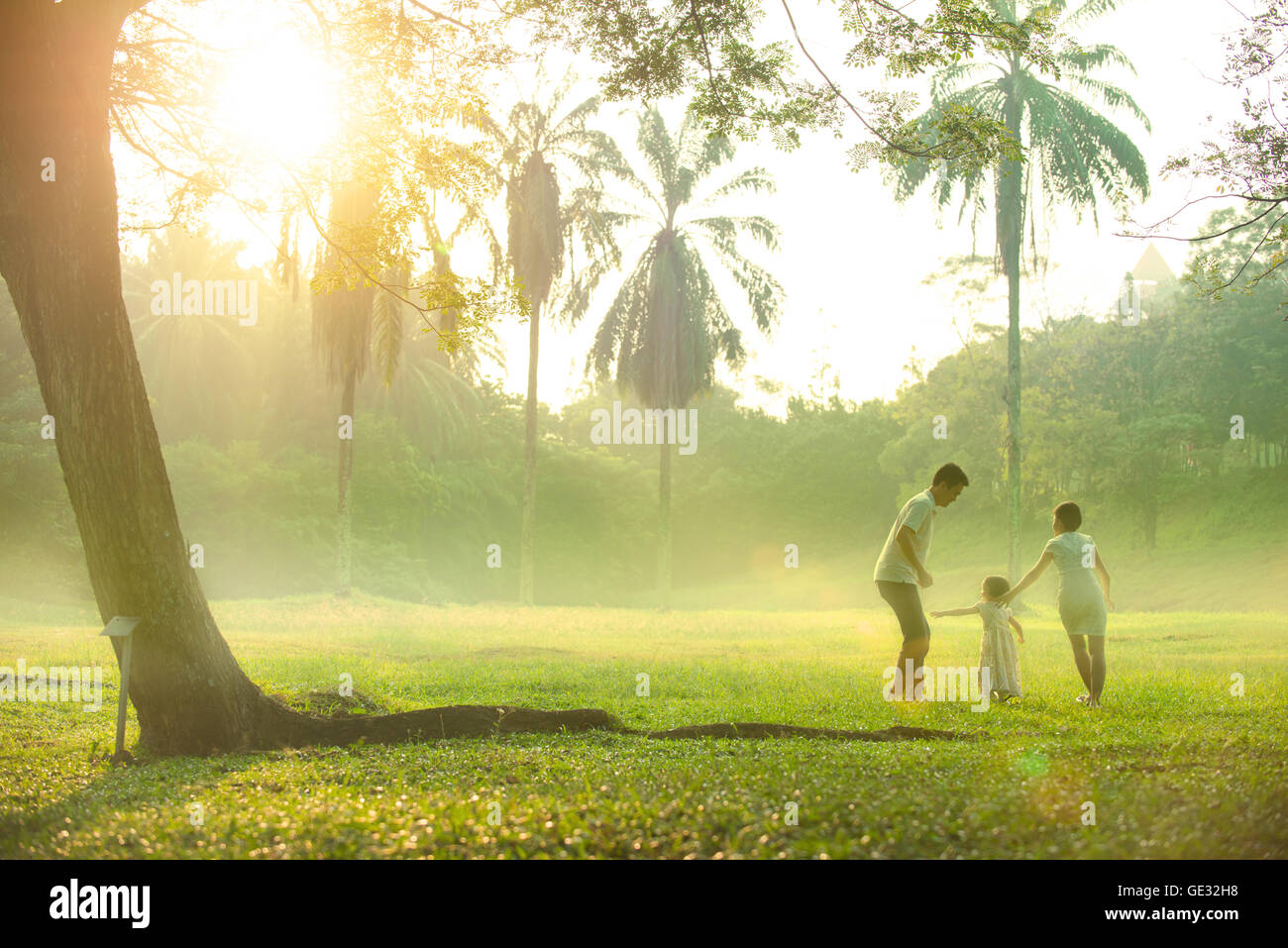 a family having fun playing in the early foggy morning Stock Photo - Alamy
