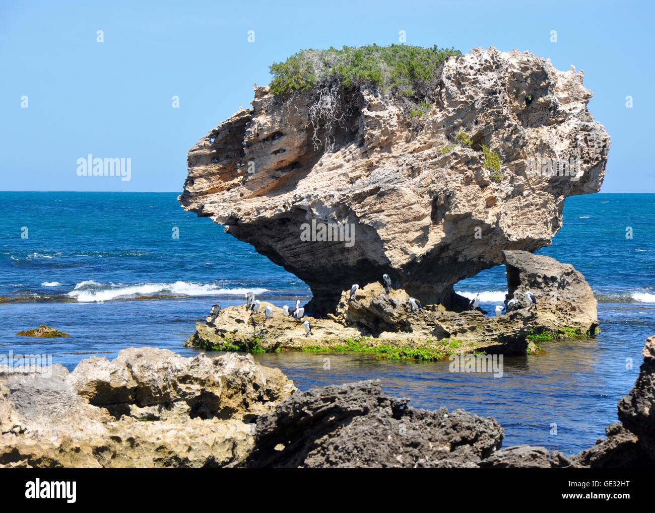 Large limestone rock in the Indian Ocean at Point Peron with pied ...