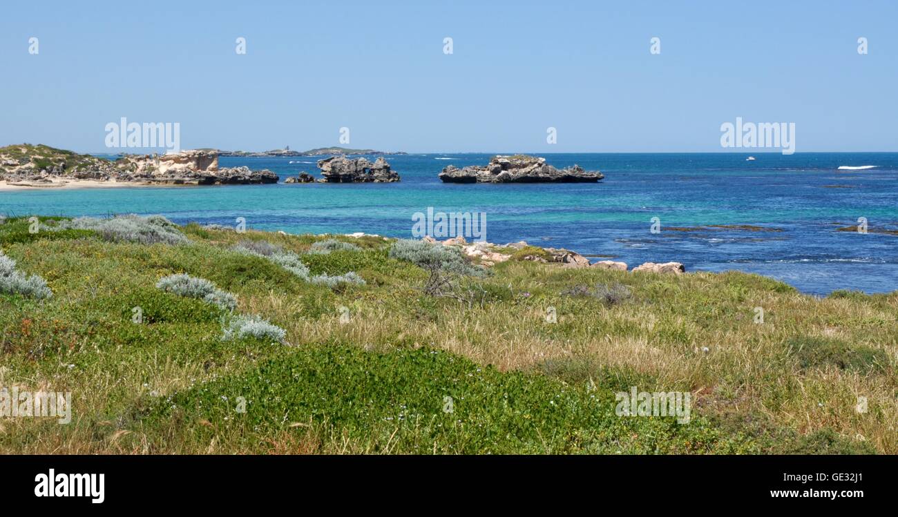 Vegetated coastal dunes and limestone rock outcroppings in the ...