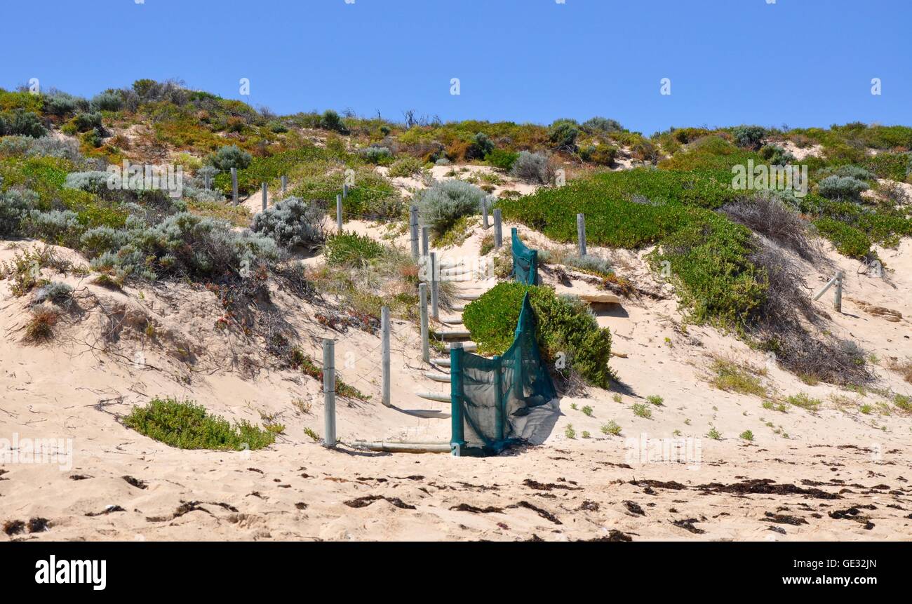 Vegetated coastal sand dunes at Point Peron with beach entrance under a ...