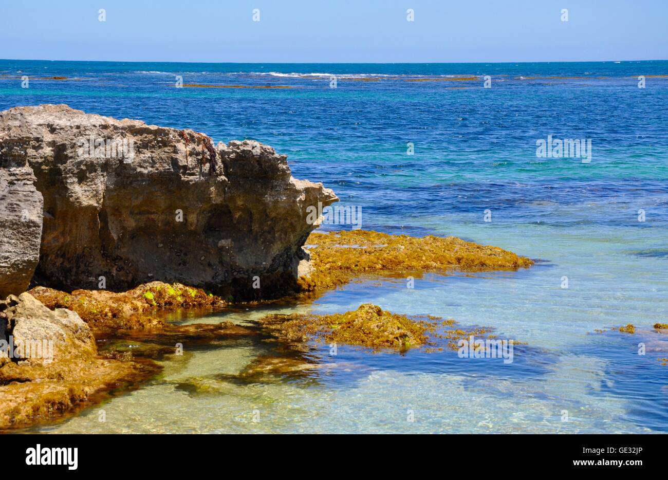 Limestone outcropping with brown algae and beach reef in the Indian ...