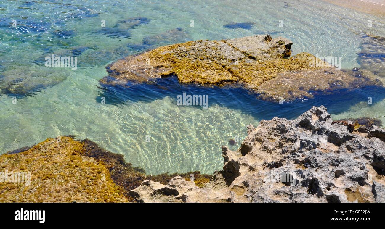 Reef limestone hi-res stock photography and images - Alamy