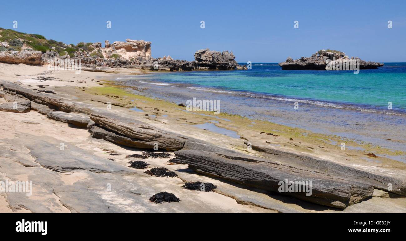 Limestone rock wave-cut platforms on a beach at Point Peron with algae ...