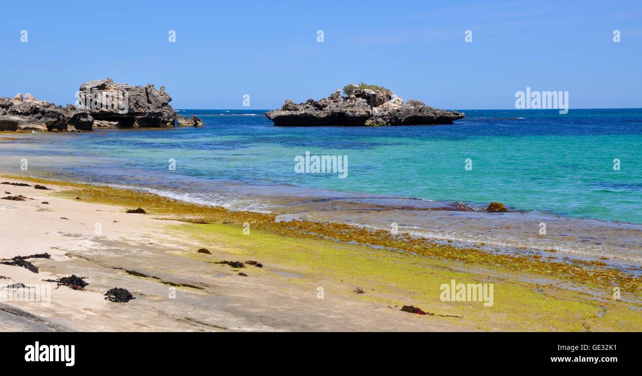 Bright algae on the Point Peron beach with limestone outcroppings and ...