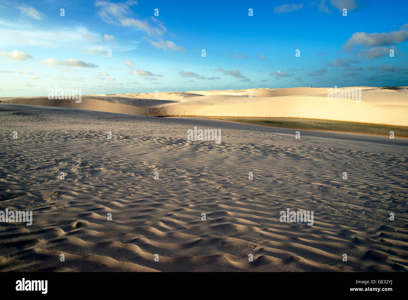 Lagoon in the desert of Lencois Maranhenses, Brazil Stock Photo - Alamy