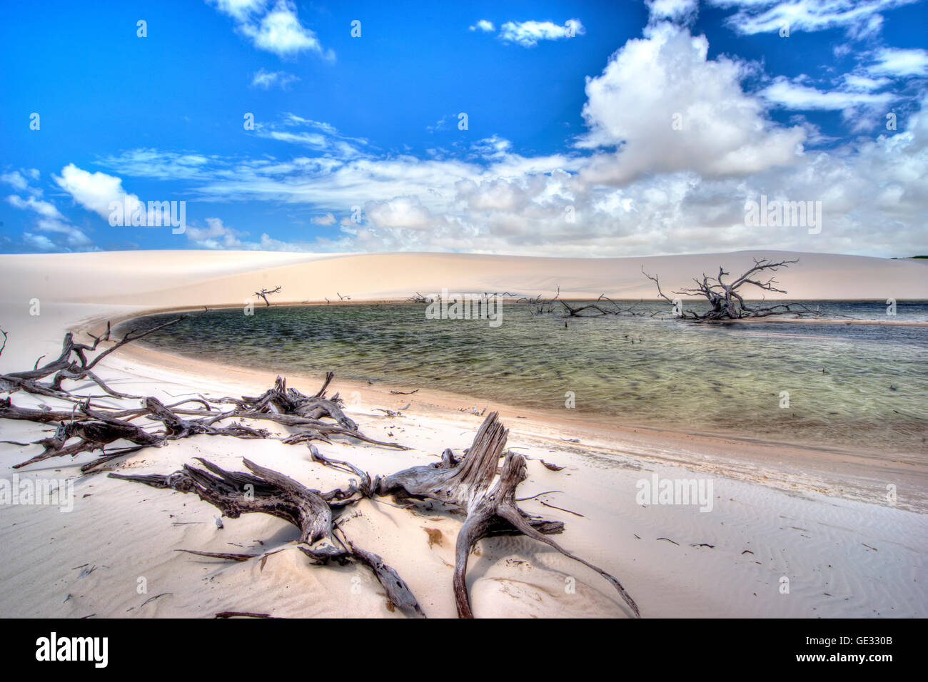 Lagoon in the desert of Lencois Maranhenses, Brazil Stock Photo - Alamy