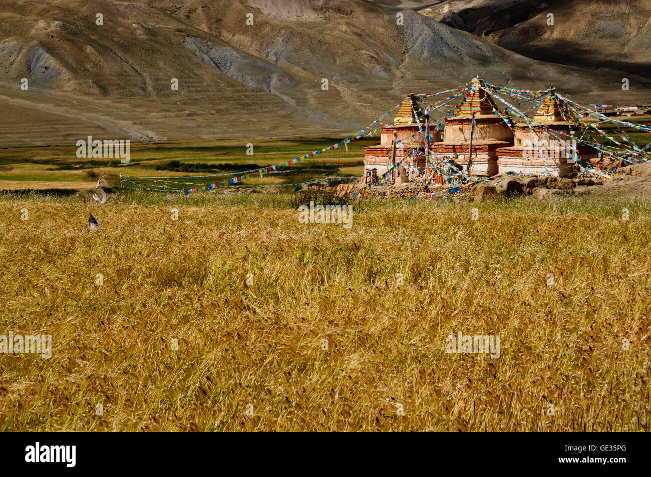 Gyirong hi-res stock photography and images - Alamy