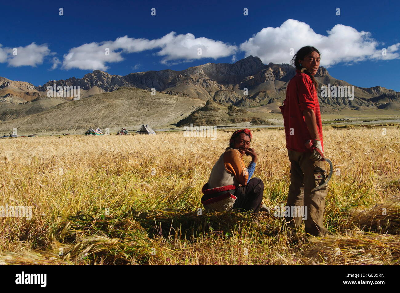 geography / travel, China, Tibet, Old Tingri, harvest of the barley ...