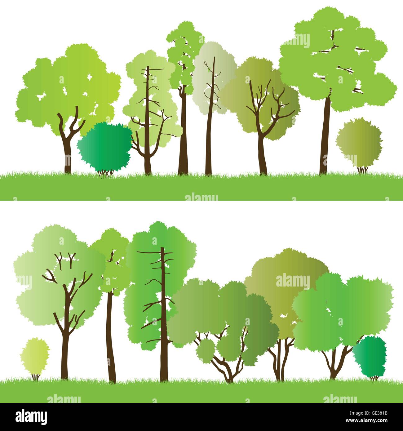 Forest trees silhouettes illustration collection background vector for ...