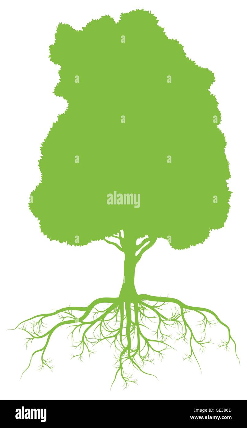 Tree with roots background ecology vector concept Stock Vector Image ...