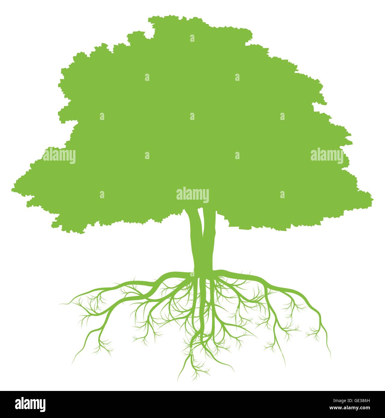 Tree with roots background ecology vector concept Stock Vector Image ...