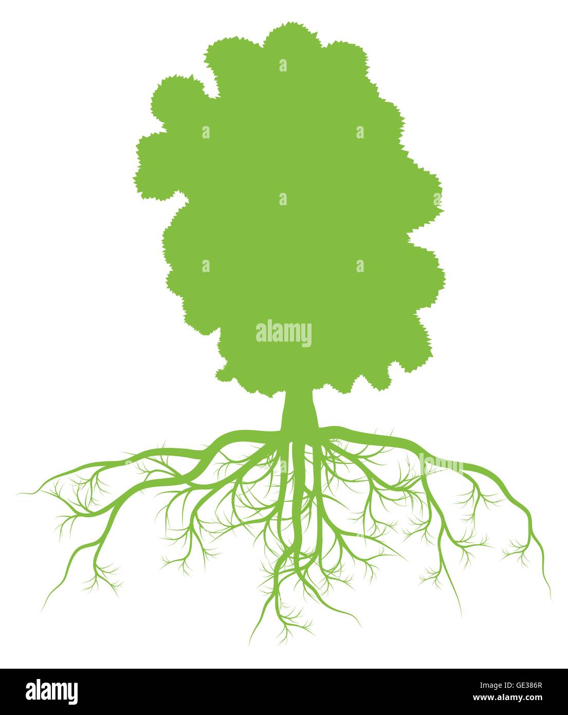 Tree with roots background ecology vector concept Stock Vector Image ...