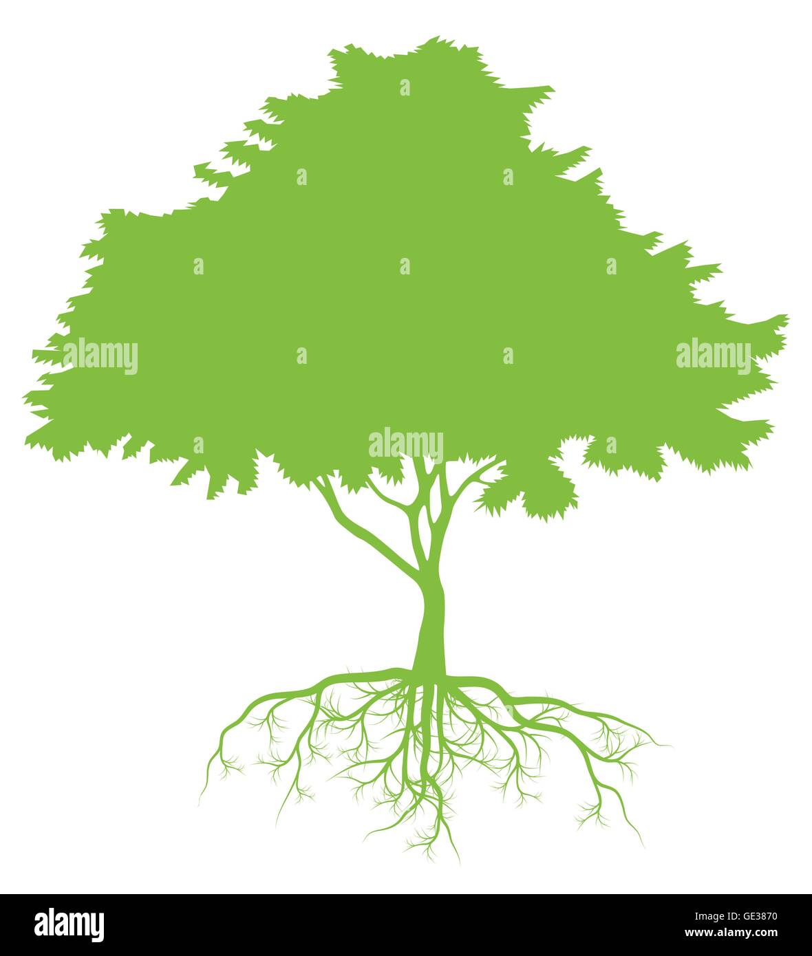 Tree with roots background ecology vector concept Stock Vector Image ...