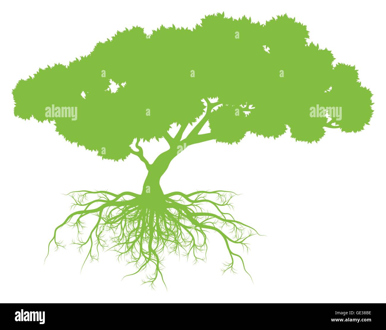 Tree with roots background ecology vector concept card for poster Stock ...