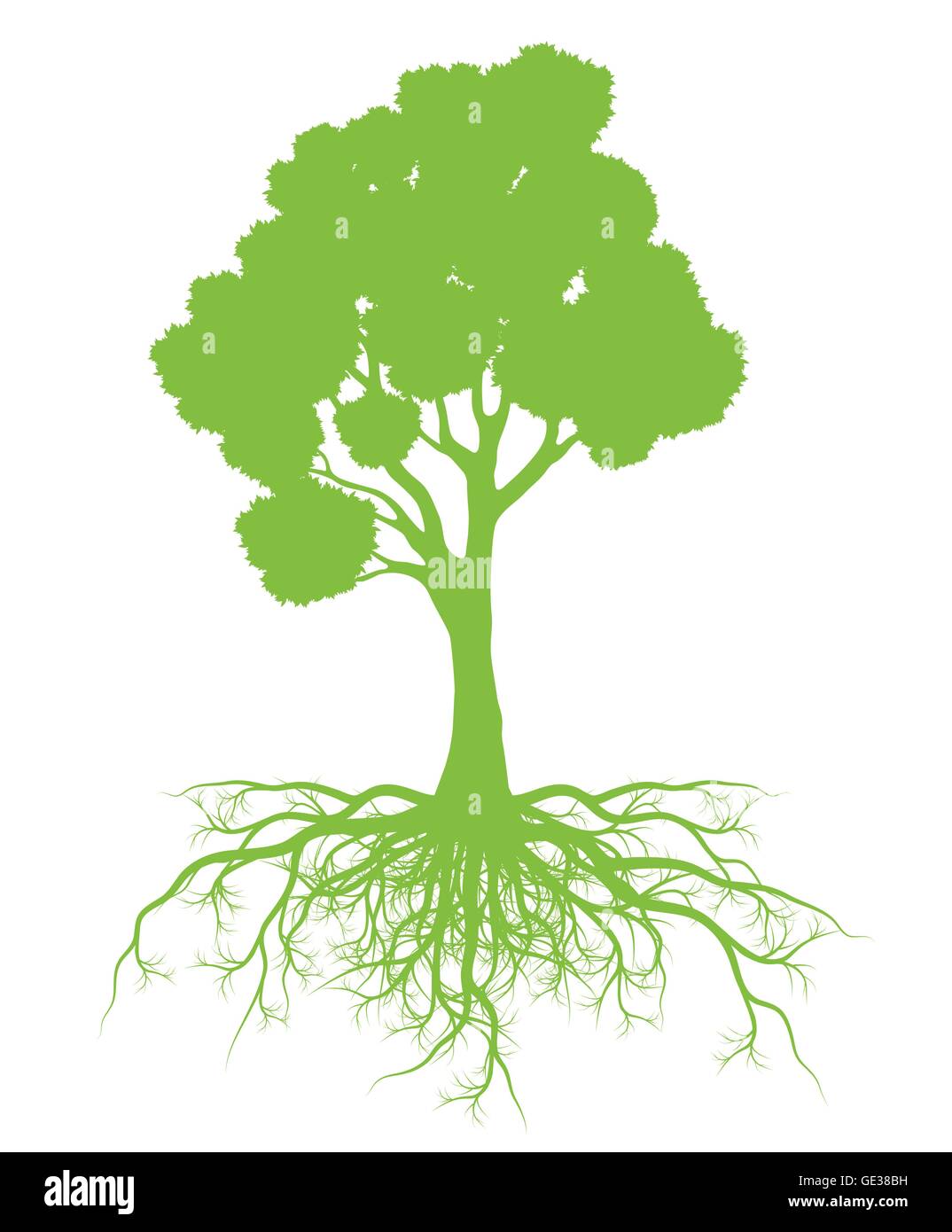 Cartoon Tree With Roots