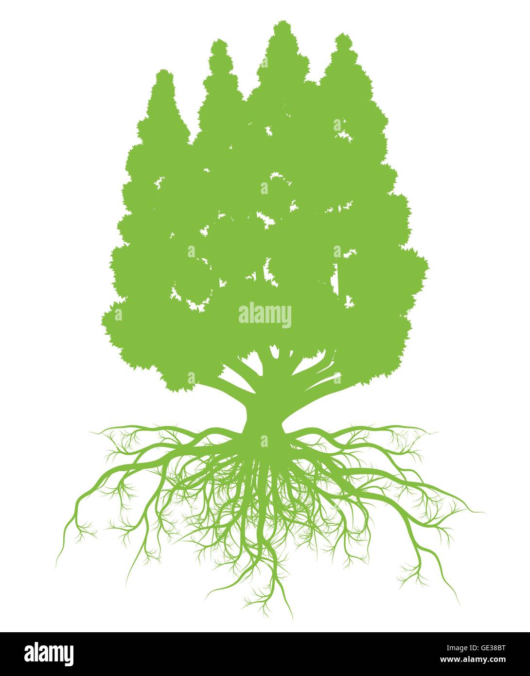 Complete plant roots Stock Vector Images - Alamy