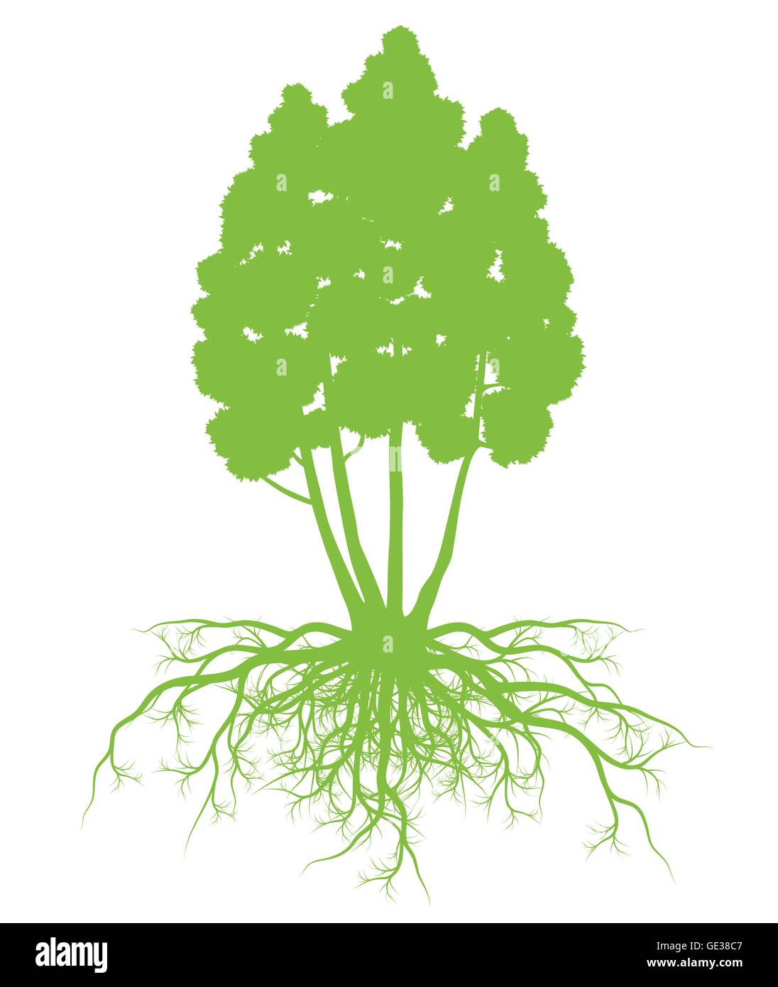 Tree with roots background ecology vector concept card for poster Stock ...