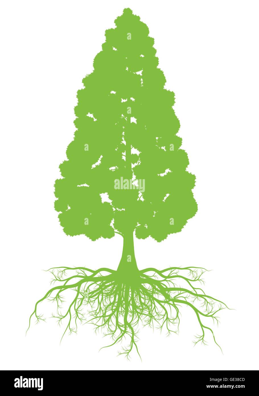 Tree with roots background ecology vector concept card for poster Stock ...