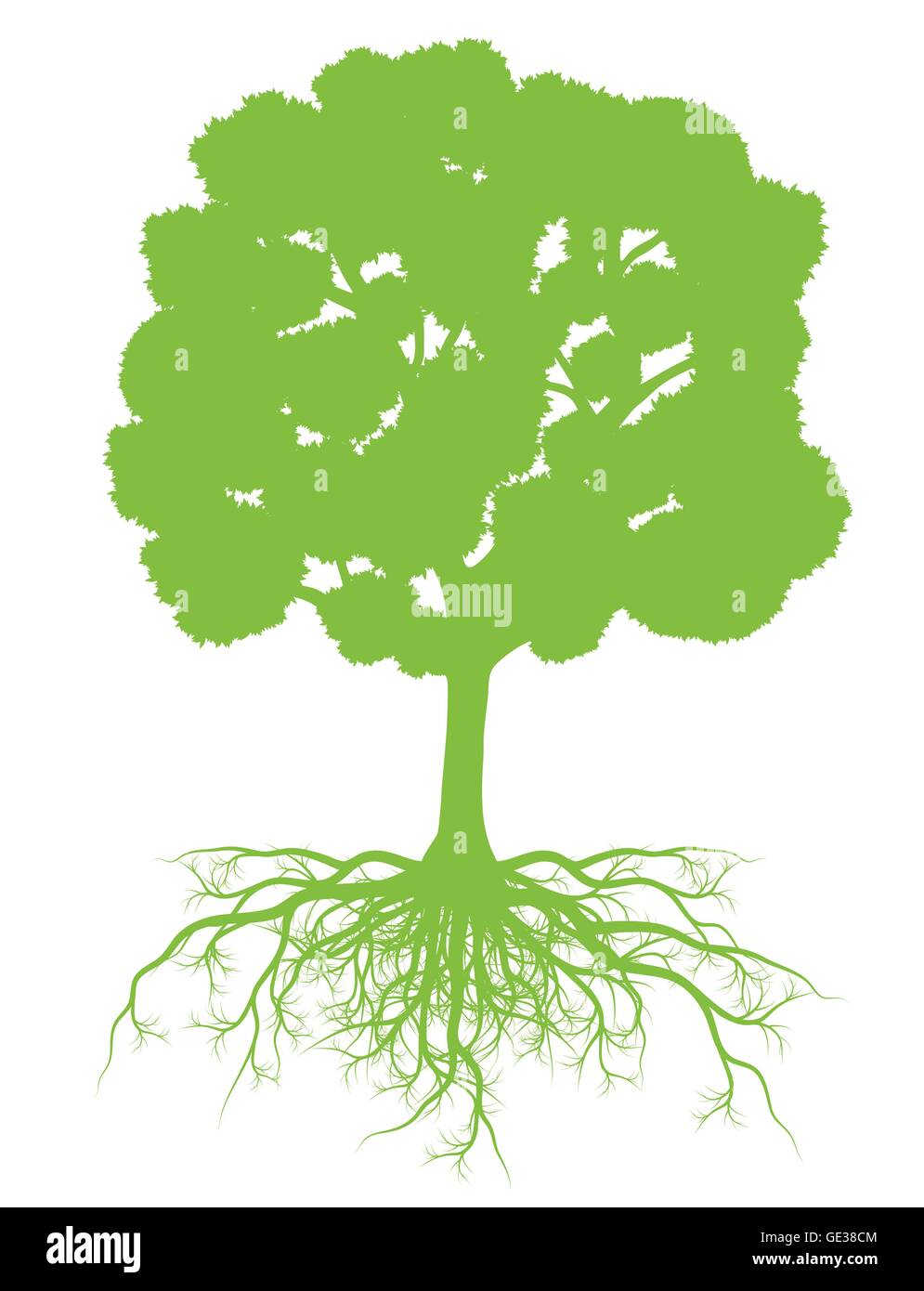 Tree with roots background ecology vector concept card for poster Stock ...
