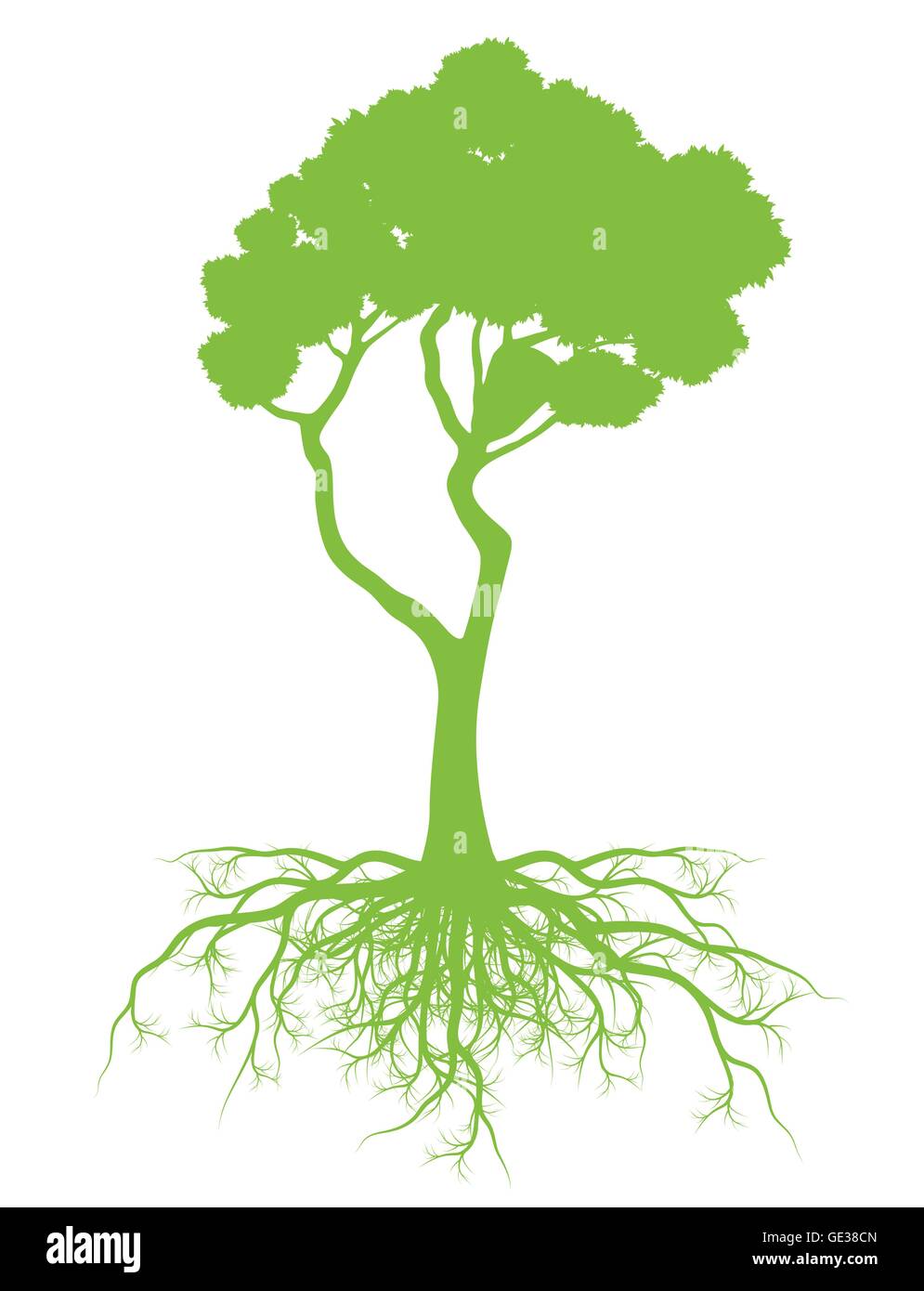 Tree with roots background ecology vector concept card for poster Stock ...