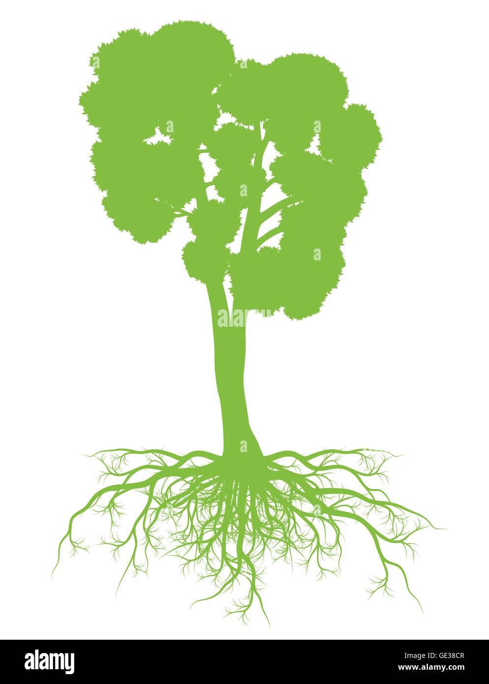 Tree with roots background ecology vector concept card for poster Stock ...