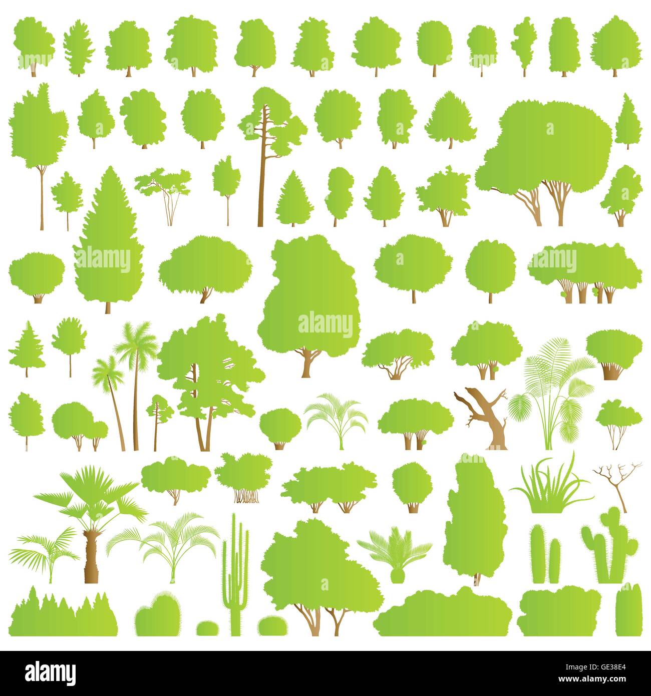 Scrub land plants Stock Vector Images - Alamy