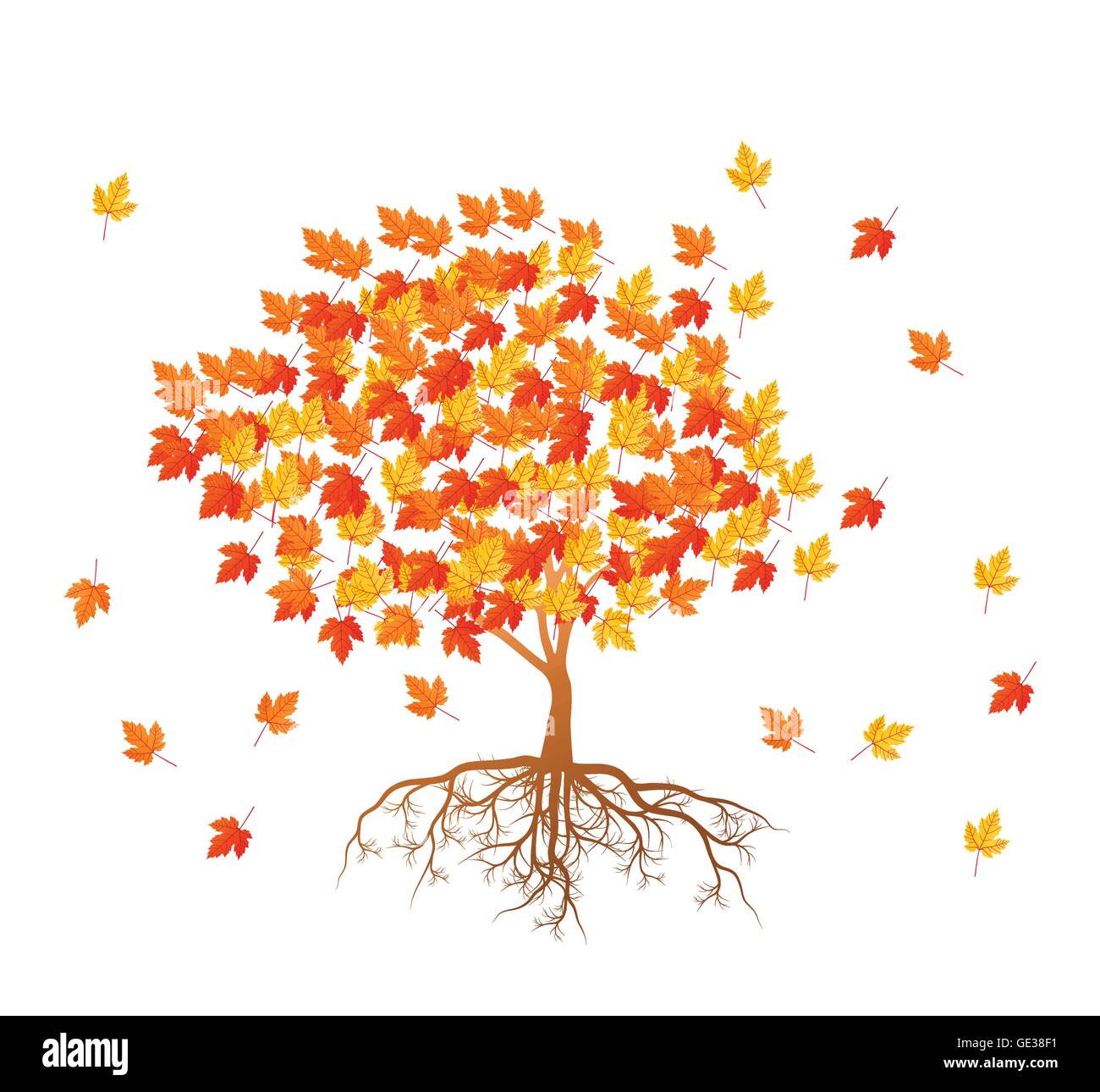 Maple tree autumn leaves background vector with roots Stock Vector ...