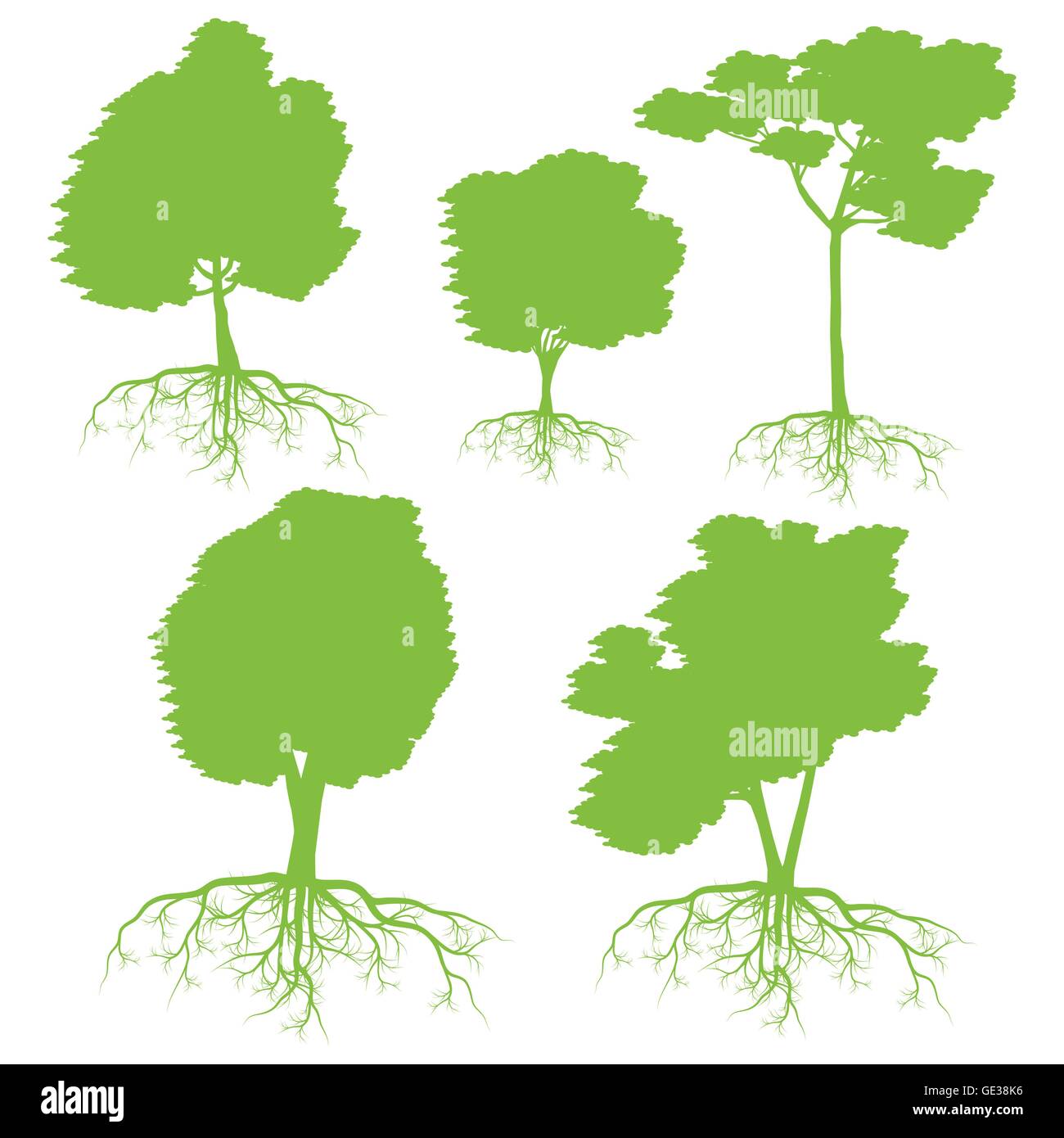 Tree with roots set background ecology vector concept Stock Vector ...