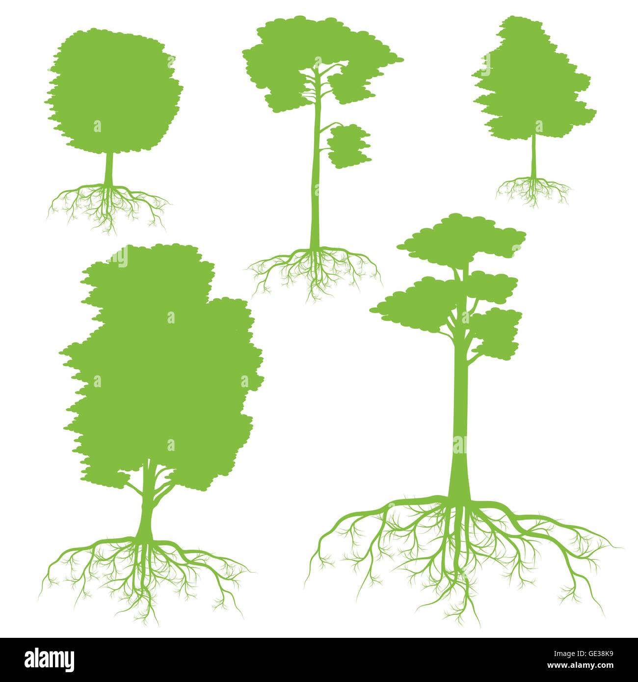 Tree with roots set background ecology vector concept Stock Vector ...