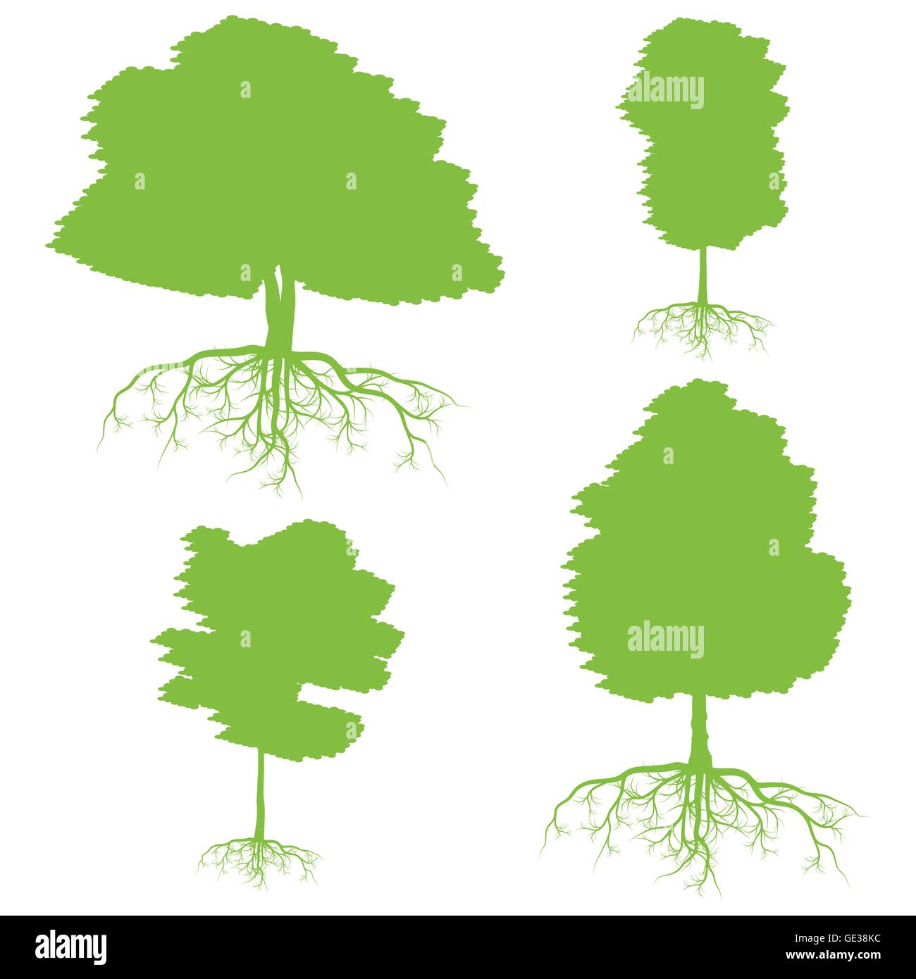 Tree with roots set background ecology vector concept Stock Vector ...