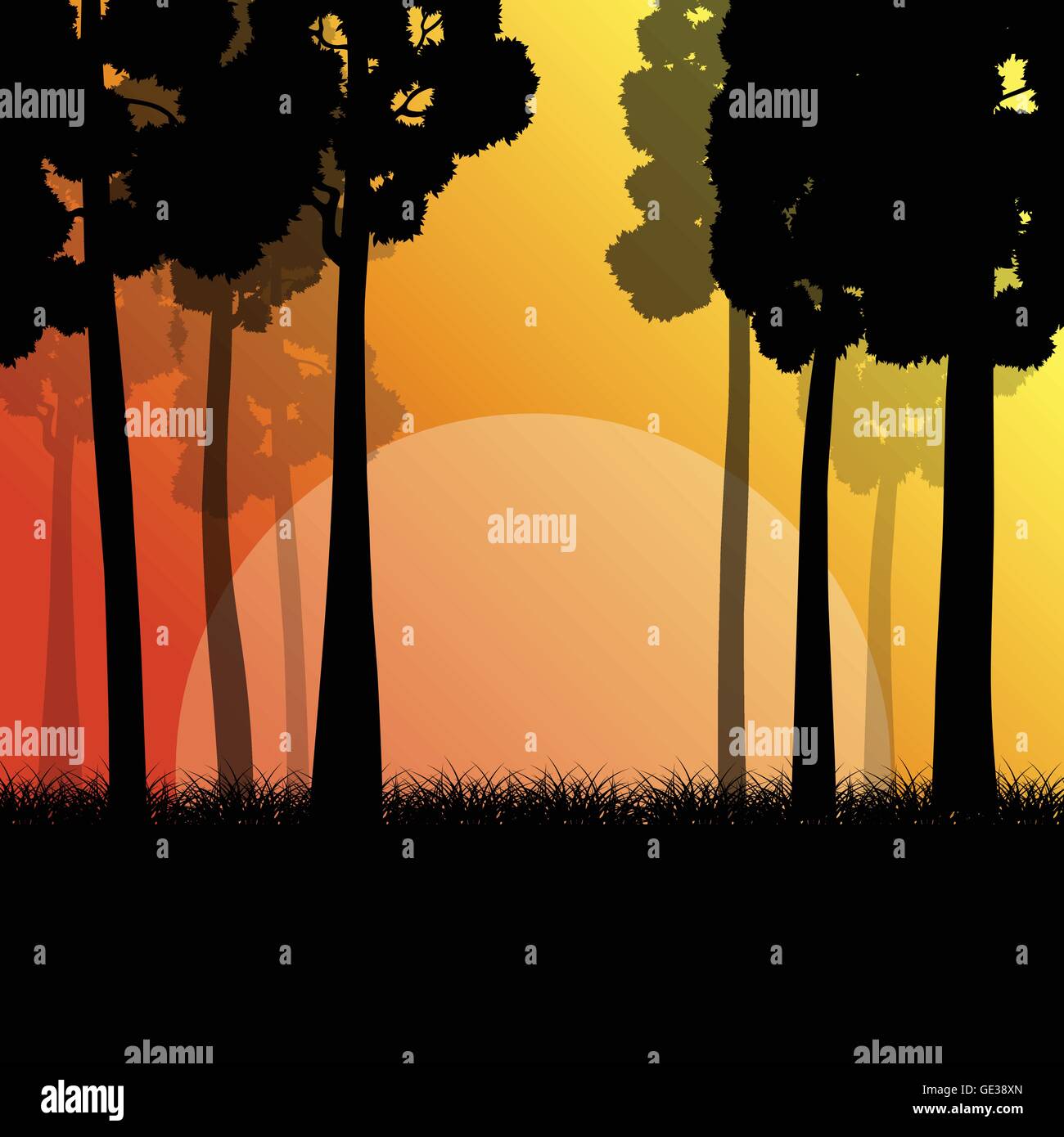 Sunlight through tree branches Stock Vector Images - Alamy