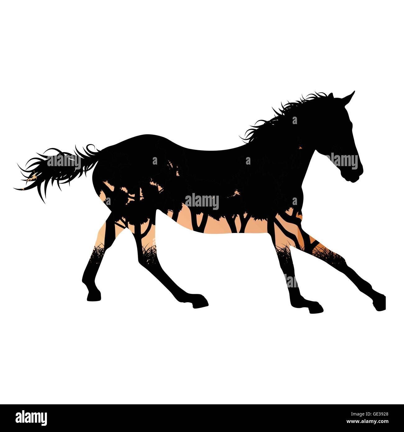 Wild horse and silhouette hi-res stock photography and images - Alamy