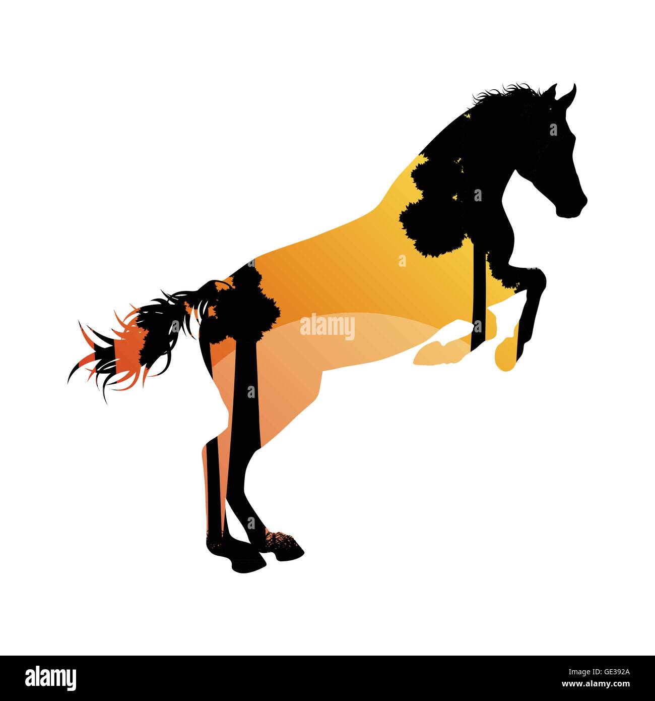 Wild Horse Silhouette