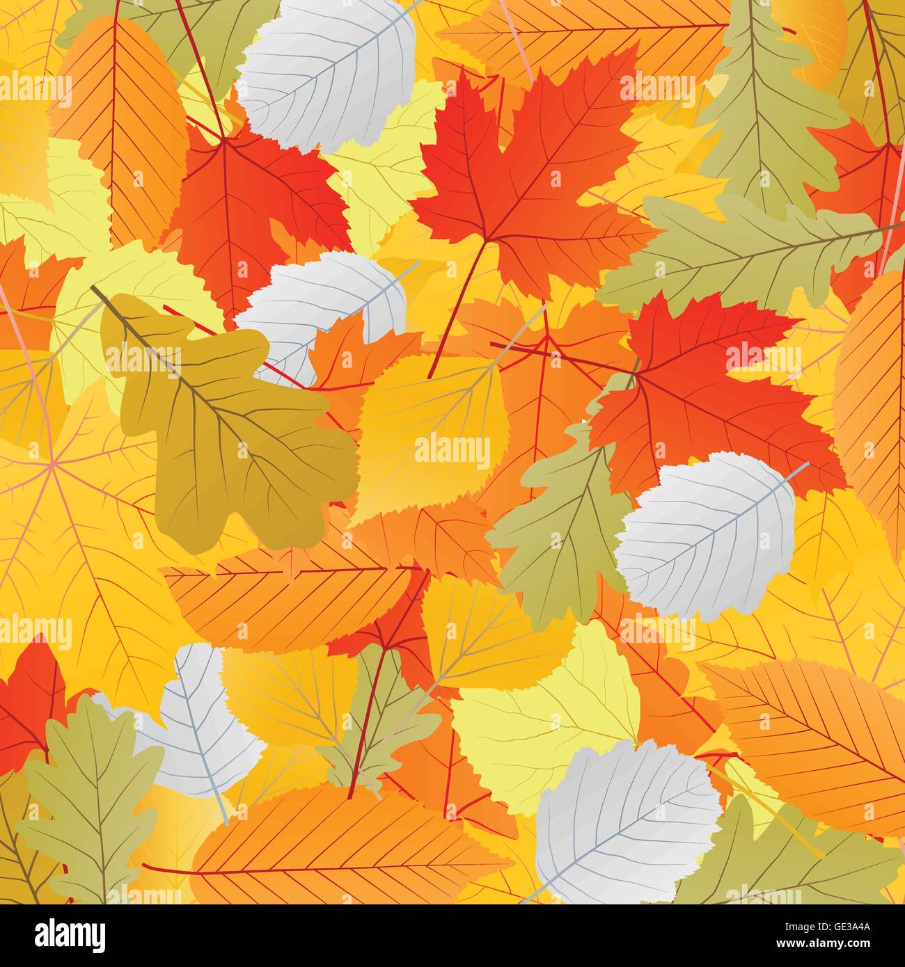 Leaves autumn vector background for poster Stock Vector Image & Art - Alamy