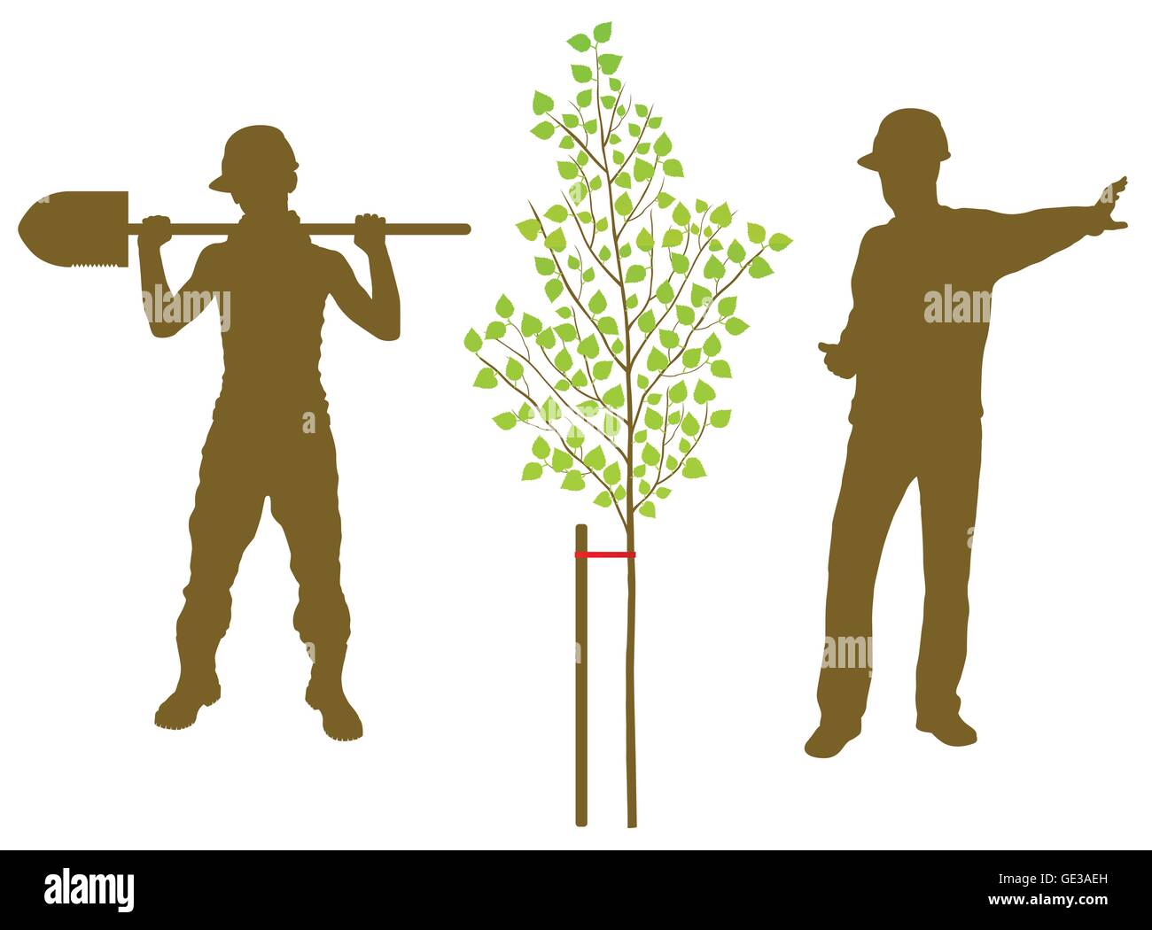Birch tree plant vector background with worker and gardener for poster ...