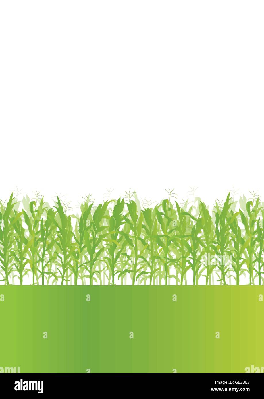 Corn field detailed countryside landscape ecology illustration ...