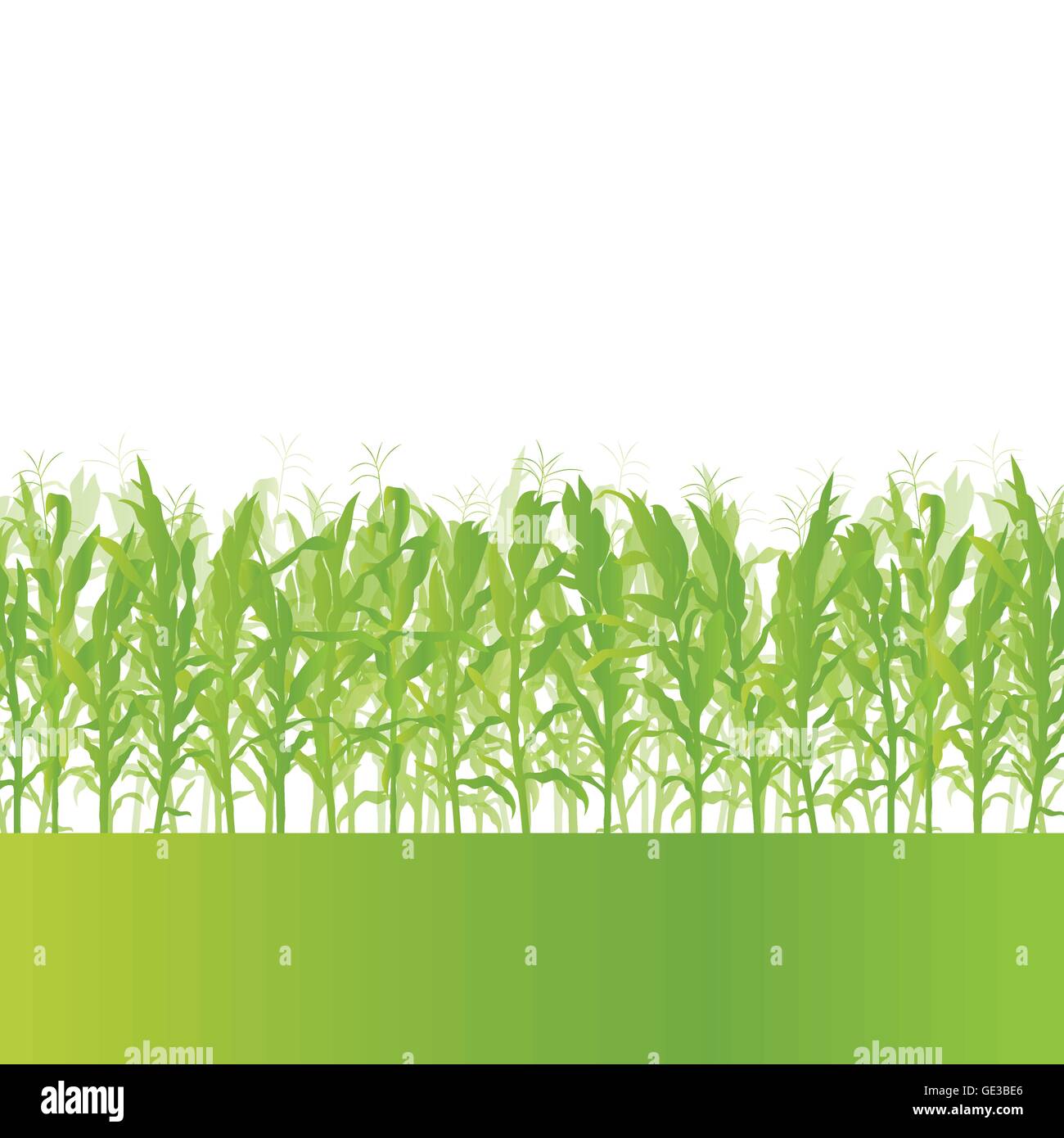 Corn field detailed countryside landscape ecology illustration ...