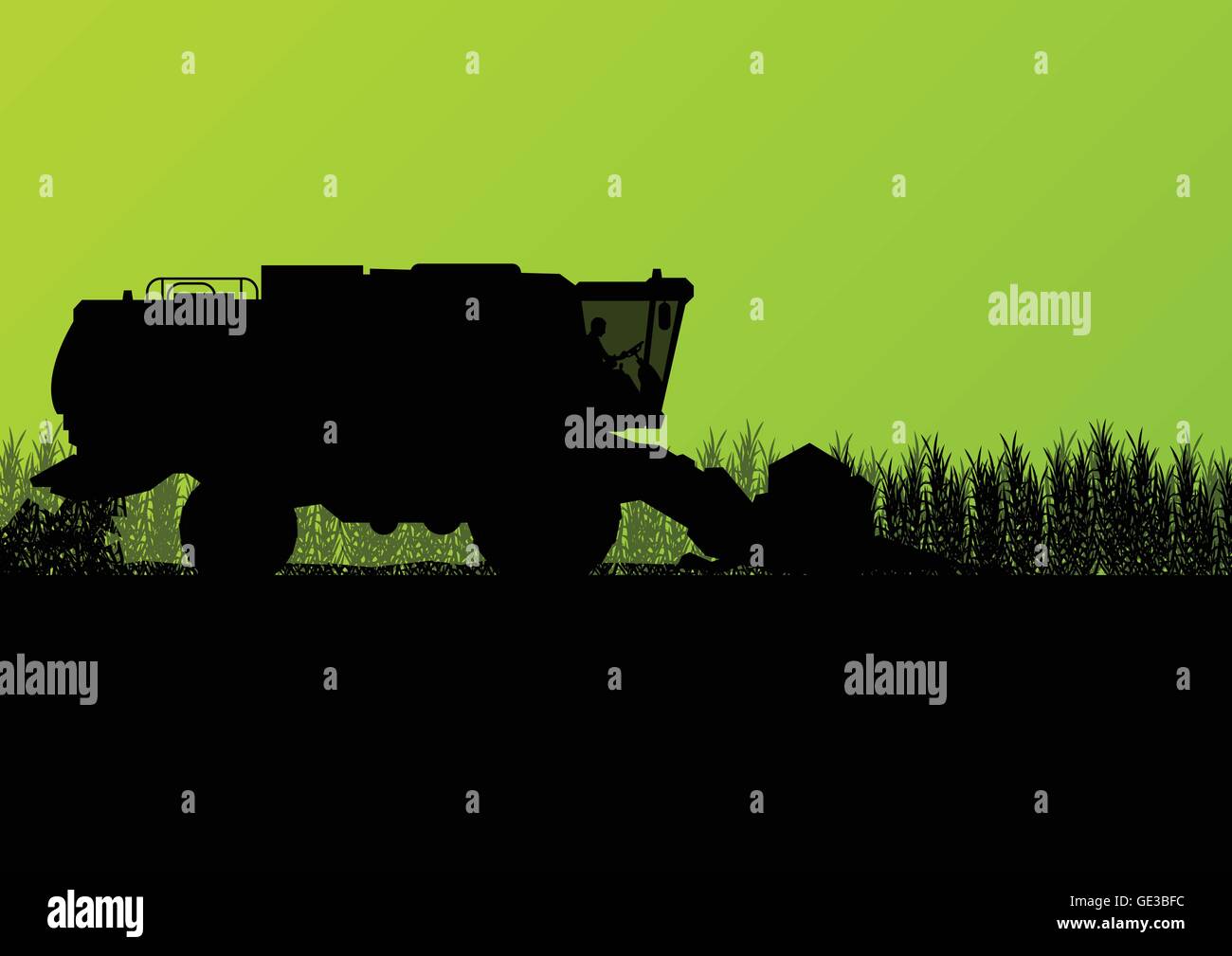 Agricultural combine harvester in grain field seasonal farming ...