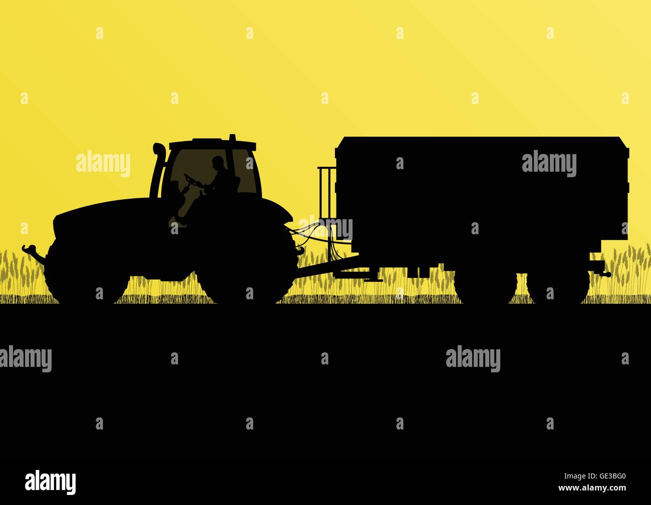Agriculture tractor with corn trailer in cultivated country grain field ...