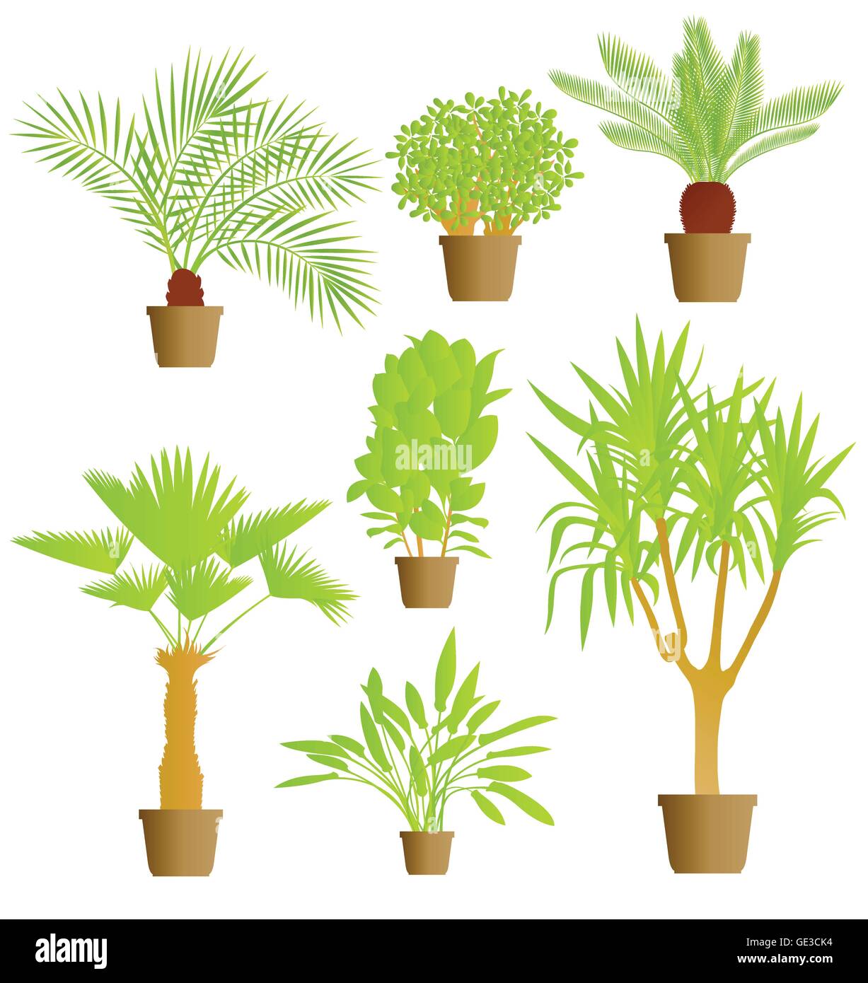 House plants vector background set Stock Vector Image & Art - Alamy