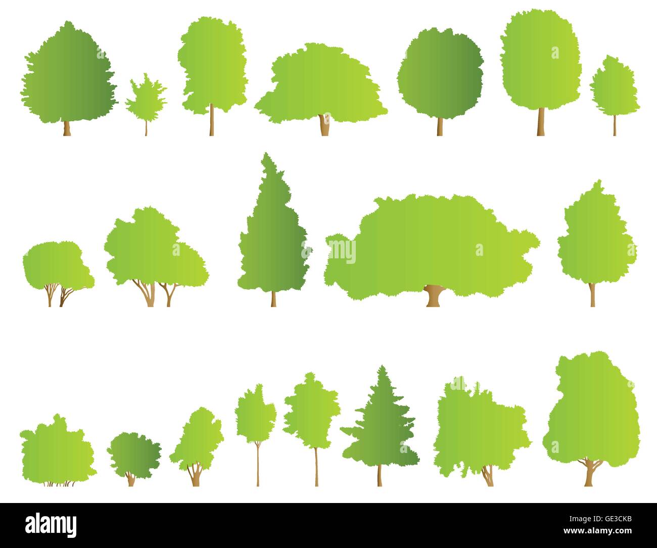 Trees detailed illustration collection background vector Stock Vector ...
