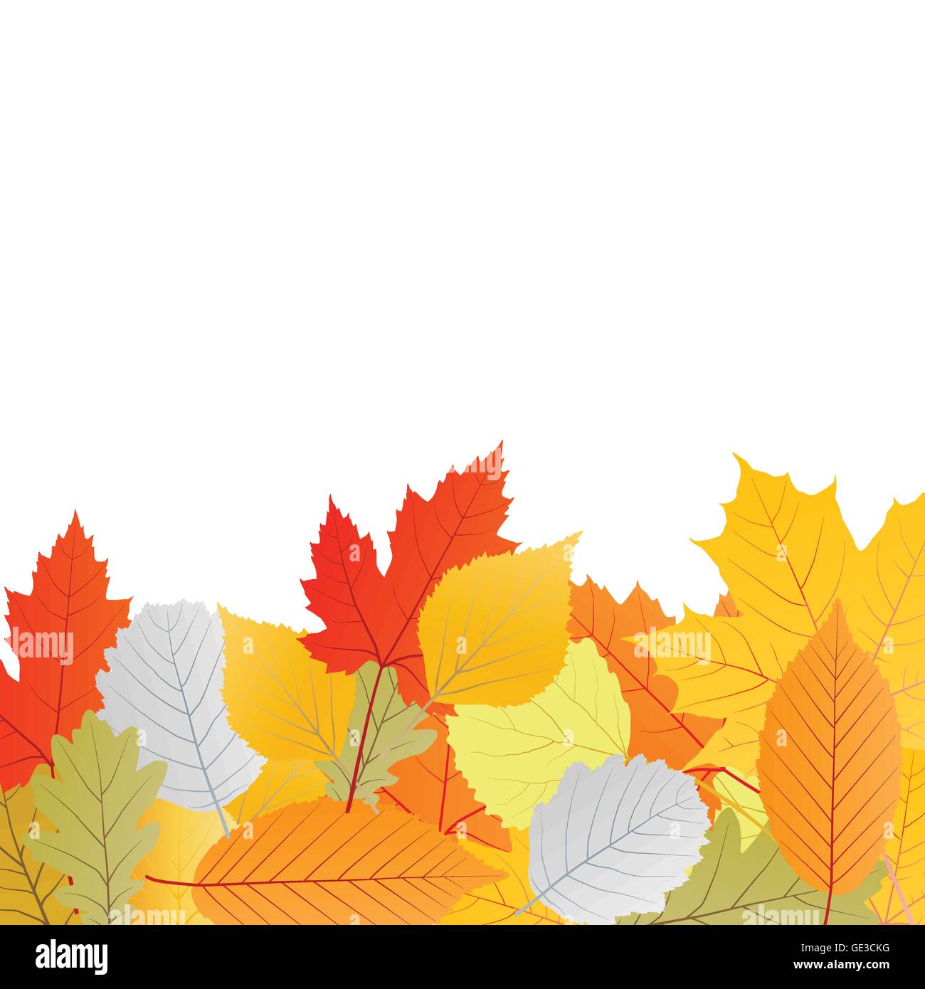 Leaves autumn vector background for poster Stock Vector Image & Art - Alamy