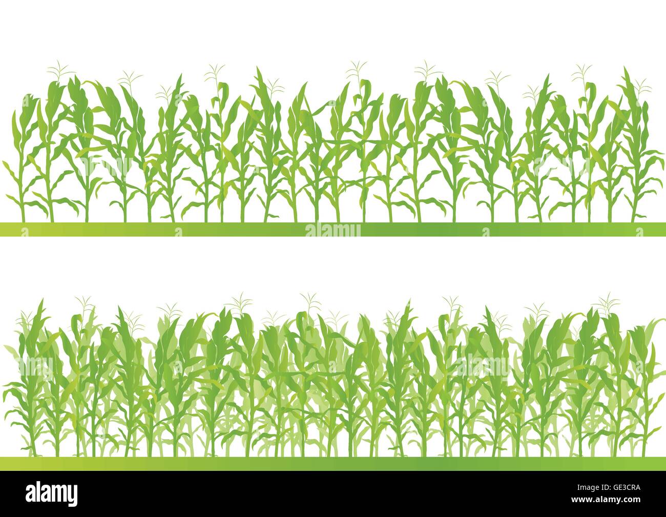 Corn field detailed countryside landscape illustration background ...