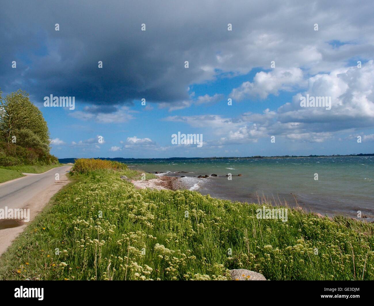 Danish landscape with empty country road, beach, greenery and ...