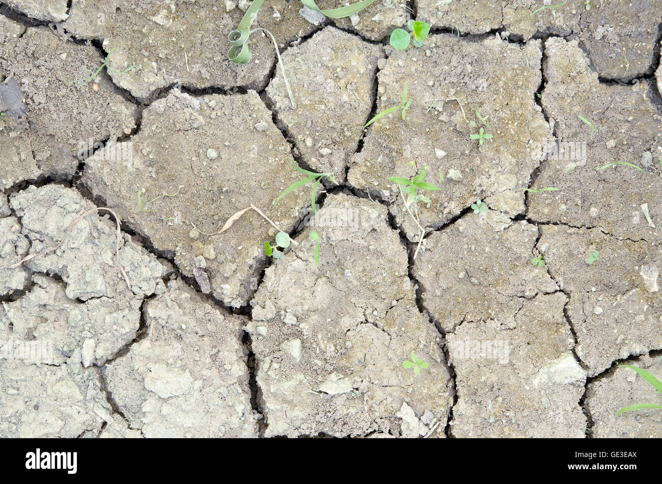 Texture of dirt and soil Stock Photo - Alamy